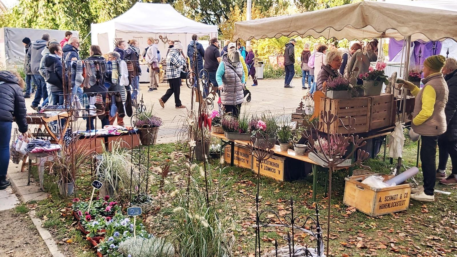 Heute noch Bauernmarkt | Wunstorfer-Stadtanzeiger